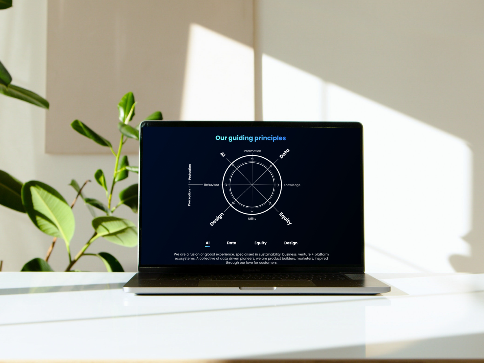 Expect - Case Study | Shoreditch Design